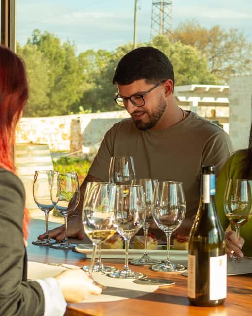 Ostuni's organic wines  tour and tasting in the winery - Exploring Ostuni’s Organic Wines: A Genuine Guide to the Winery Tour and Tasting