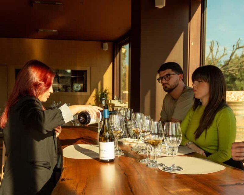 Ostuni's organic wines  tour and tasting in the winery - Why This Tour Works for Travelers