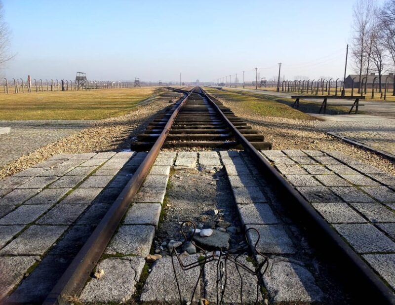 Oswiecim: Auschwitz-Birkenau Skip-the-Line Entry Tickets - Who Should Consider This Tour?
