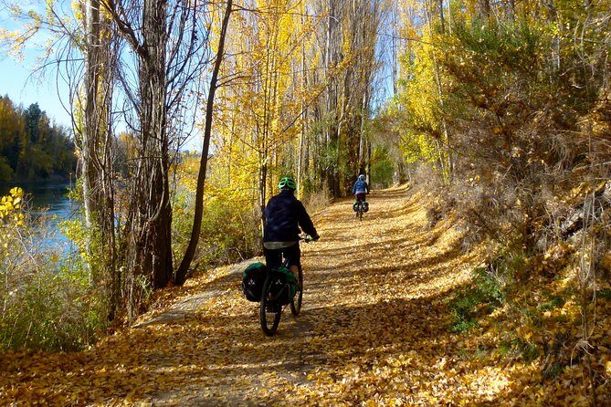 Otago Central Rail Trail One Day Wonder Cycle tour - The Climb and the Downhill: Tiger Hill to Chatto Creek