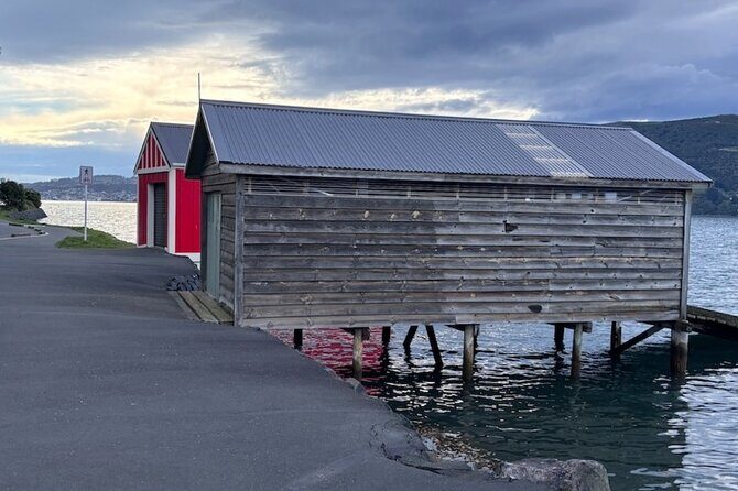 Otago Harbour by Bike: A Self Guided Tour - The Sum Up