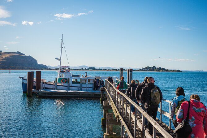 Otago Peninsula Wildlife Cruise with Monarch - Why You’ll Love the Experience
