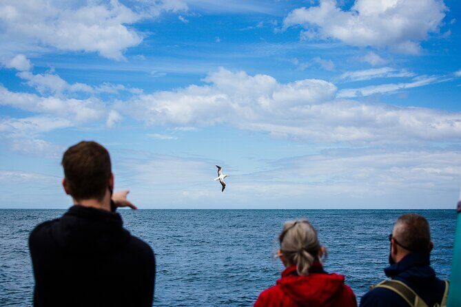 Otago Peninsula Wildlife Tour & Cruise - Final Thoughts