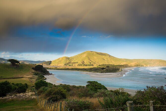 Otago Peninsula Wildlife Tour & Cruise - FAQ