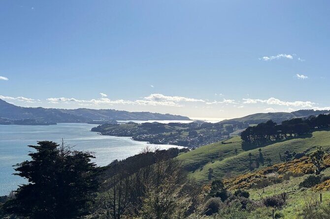 Otago Peninsula's Hidden Gems: A Self Guided Driving Tour - What to Expect from the Otago Peninsula Self-Guided Tour