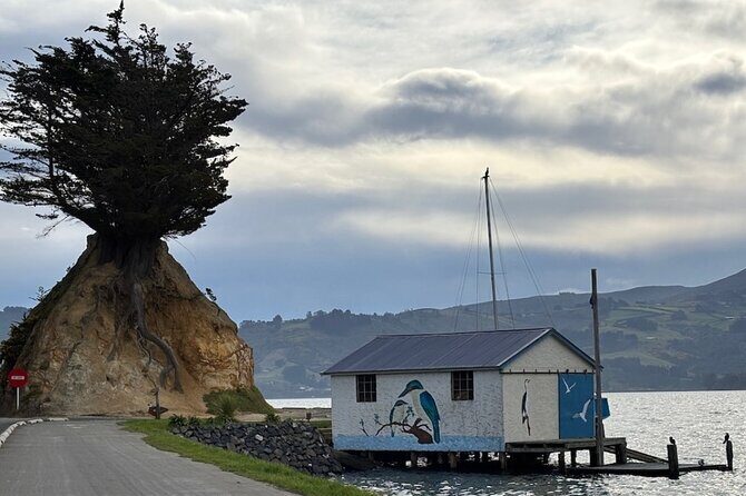 Otago Peninsula's Hidden Gems: A Self Guided Driving Tour - FAQ