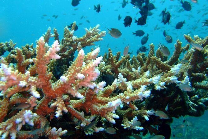 Other side of heaven Eco friendly snorkeling adventure - The Authenticity and Environmental Focus