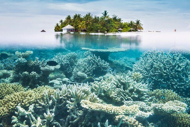 Other side of heaven Eco friendly snorkeling adventure - Final Thoughts: Is It Worth It?