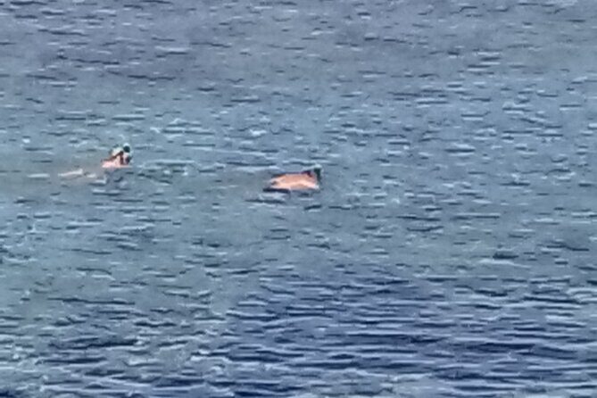 Other side of heaven Eco friendly snorkeling adventure - FAQs