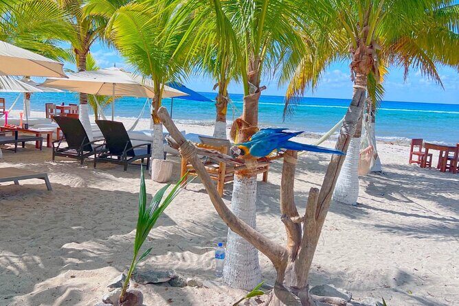 Otoch Mayan Experience Tour: Cultural & Historical Adventure - FAQ