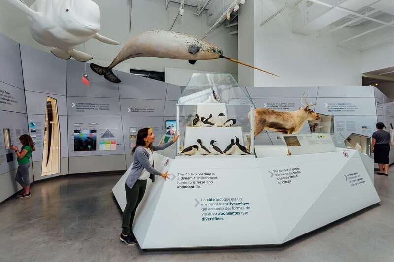 Ottawa: Canadian Museum of Nature Admission - Frequently Asked Questions