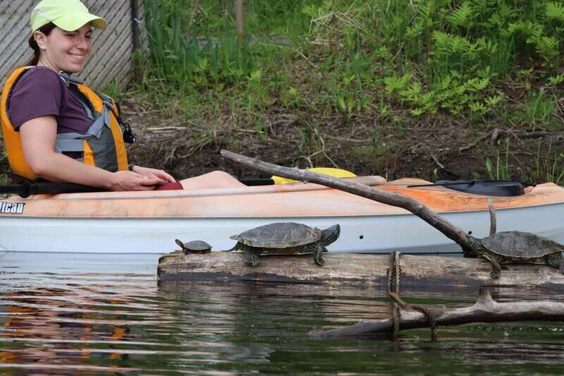 Ottawa: Ecological Reserve Kayak Tour with Turtle Sightings - FAQ