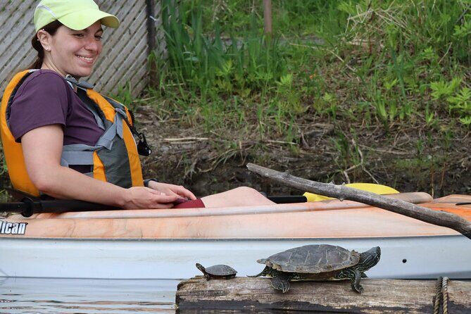 Ottawa Ecological Reserve Kayak Tour with TURTLE Sightings - Discovering the Tour: A Closer Look