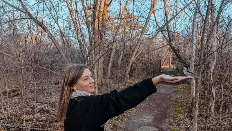 Ottawa: Guided Nature Walk & Wildlife Tour with Hotel Pickup - Key Points