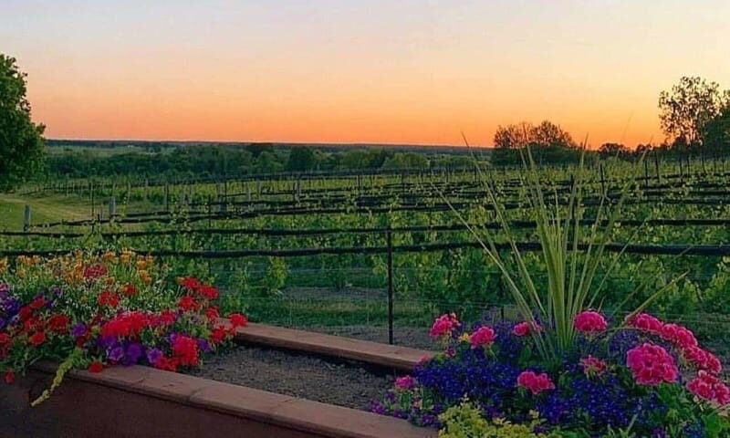 Ottawa: Local Wine and Cider Tour - Who Will Love This Experience?