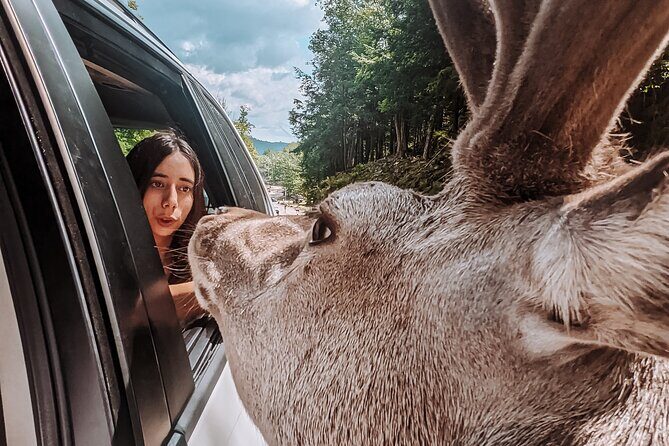 Ottawa Parc Omega Private Tour with Hotel Transfer - Introduction: Why This Tour Might Be a Great Fit