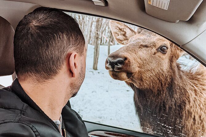 Ottawa Parc Omega Private Tour with Hotel Transfer - What Do Reviewers Say?