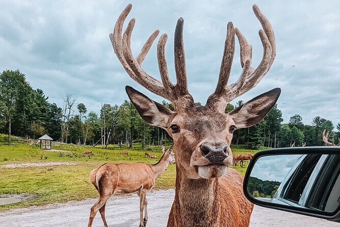 Ottawa Parc Omega Private Tour with Hotel Transfer - Who Is This Tour Best For?