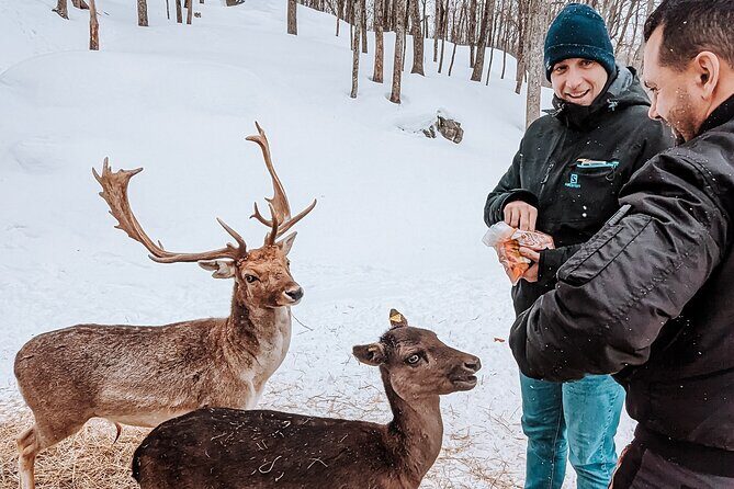 Ottawa Parc Omega Private Tour with Hotel Transfer - FAQ