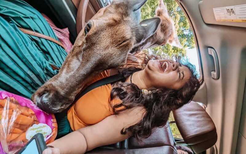 Ottawa: Private Wildlife Adventure Safari in Parc Omega - How the Tour Works and What to Expect