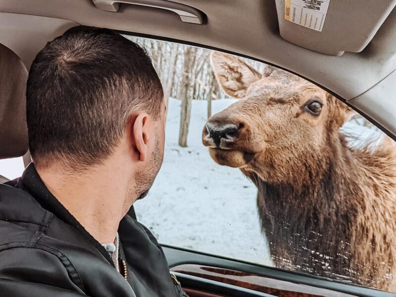 Ottawa: Private Wildlife Adventure Safari in Parc Omega - Practical Details and Value