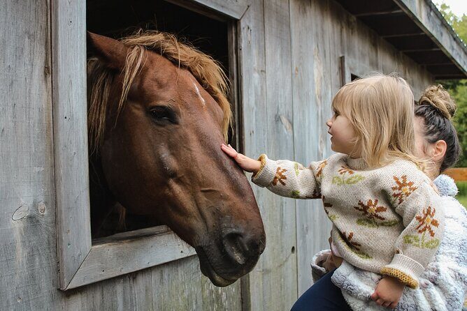 Ottawa Valleyview Little Animal Farm Tour - Exploring the Valleyview Little Animal Farm Tour