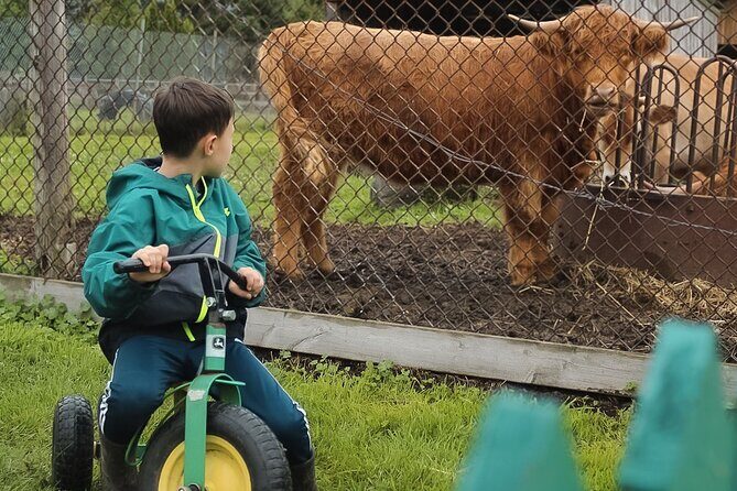 Ottawa Valleyview Little Animal Farm Tour - Authentic Experiences from Other Travelers