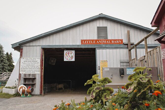 Ottawa Valleyview Little Animal Farm Tour - The Sum Up