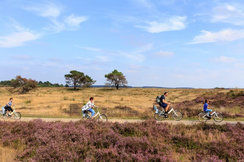 Otterlo: De Hoge Veluwe National Park Entry Ticket - The Practicalities: What You Need to Know