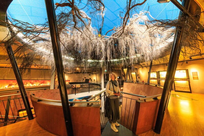 Otterlo: De Hoge Veluwe National Park Entry Ticket - FAQ