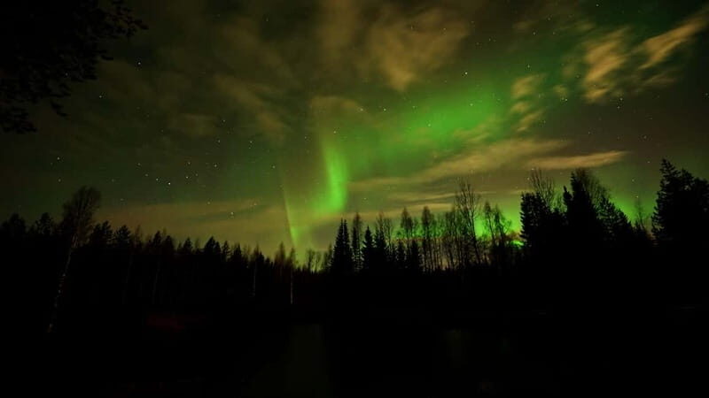 Oulu: Starguaranteed Northern Lights Mobile Chase - What Past Travelers Say