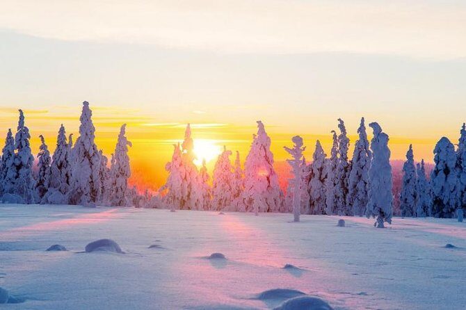 Ounasvaara and Ranua Zoo - An In-Depth Look at the Tour Experience