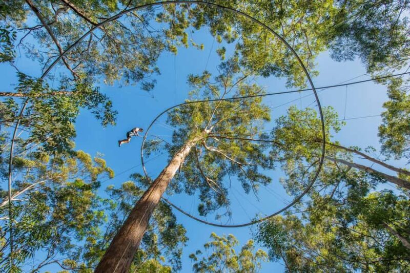 Ourimbah: Central Coast Zipcoaster - An In-Depth Look at the Ourimbah Zipcoaster Experience