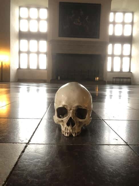 Out of Copenhagen; 2x Castles, Cathedral & (Viking Ships) - Transportation and Group Size