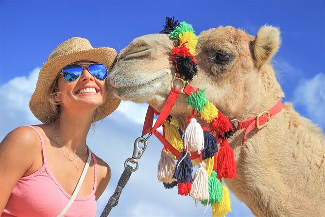 Outback Camel Ride - Key Points