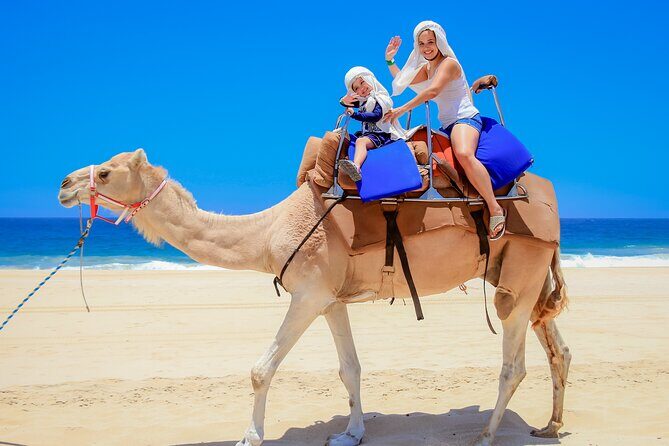 Outback Camel Ride - The Itinerary: What to Expect