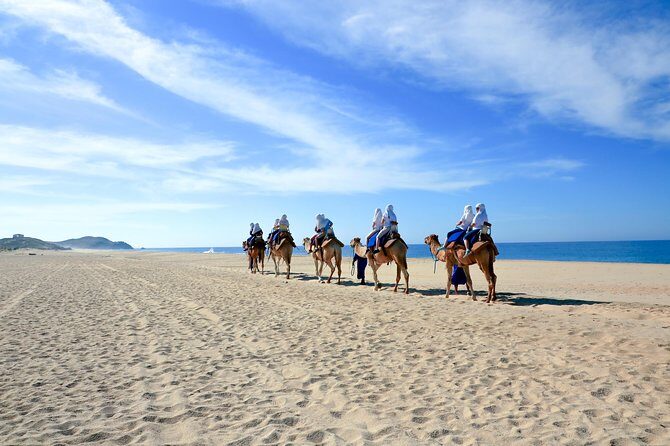 Outback Camel Ride - FAQ