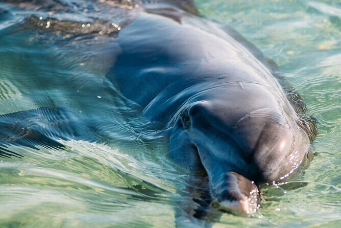 Outback Coast 4 Day Tour - Key Points