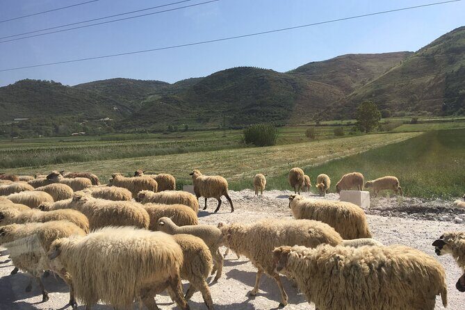 Outdoor Experience in Amantia Archeological Park & Brataj Bidge - Key Points