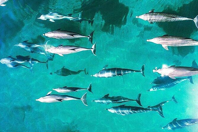 Outer Reef Odyssey - 40 minute Reef Scenic Flight - Key Points