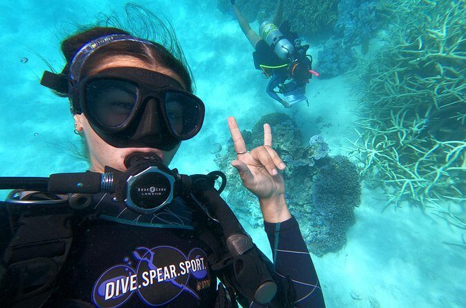 Outer Reef Scuba Diving Day Tour from Agnes Water 1770 - The Sum Up
