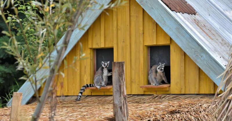 Overloon: ZooParc Entrance Ticket - FAQ