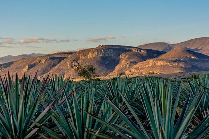 Overnight 2-Day Experience in Beautiful Oaxaca - FAQs