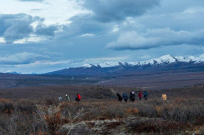 Overnight Denali National Park plus Aurora Chase Tour - FAQ
