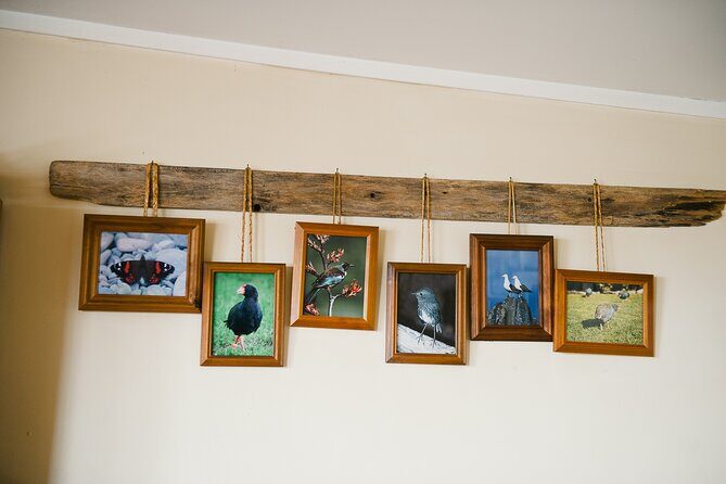 Overnight Experience Tour on Kapiti Island - The Sum Up