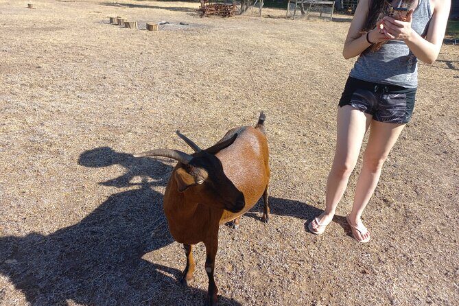 Overnight Private Yurt Getaway in Australia - FAQ