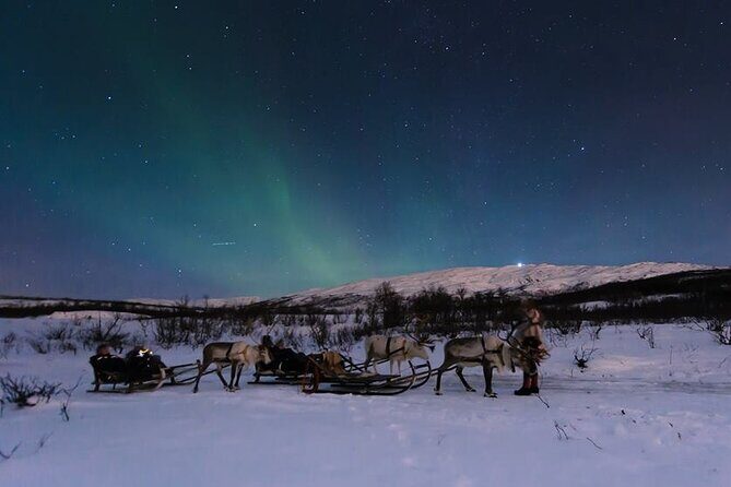 Overnight Stay with Reindeer Sledding & Feeding - The Experience in Detail: From Tromsø to the Arctic Night