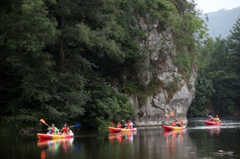 Oviedo: Canoe Descent on the Nalón River - Who is This Experience Best For?