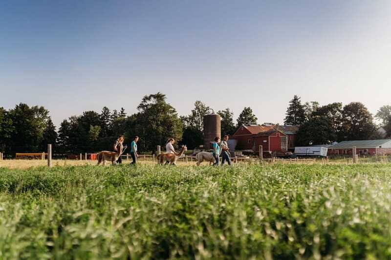 Oxford County, ON: Alpaca Farm Walk & Learning Experience - Who Would Love This Experience?