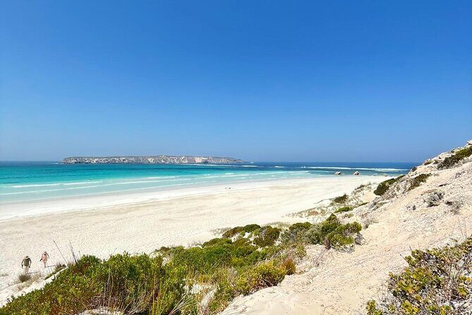 Oyster Adventure in Coffin Bay (Coffin Bay Pick Up) - The Sum Up